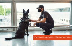 Devenir agent cynophile : Formation, compétences et perspectives de ...