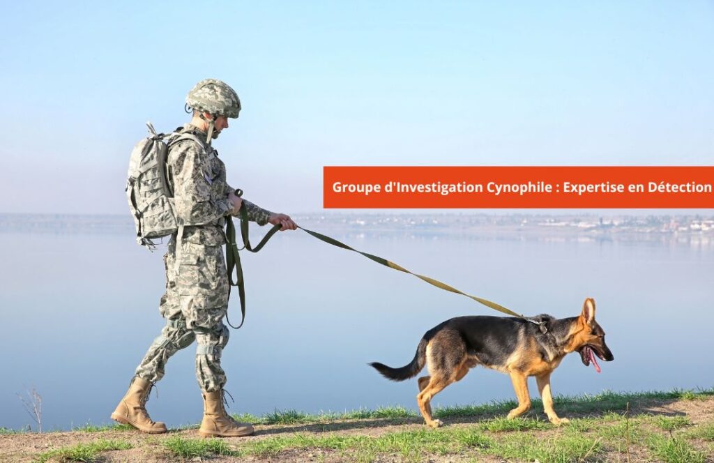 Groupe d'Investigation Cynophile : Expertise Canine au Service de la ...